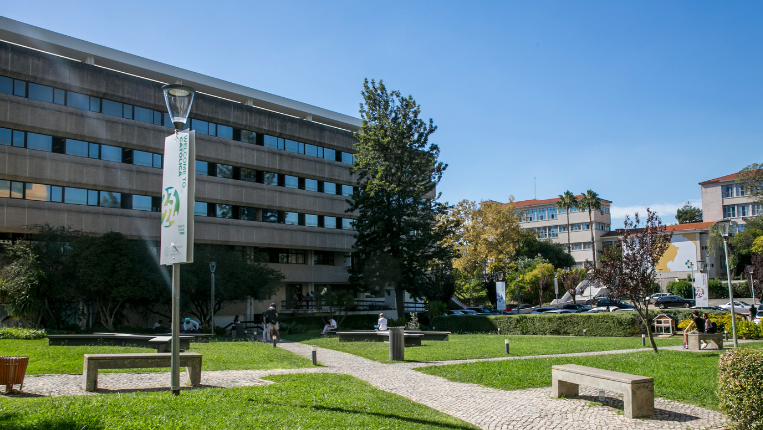 Global Ph.D. Programme | Applications are open | CGSL-WEBSITE